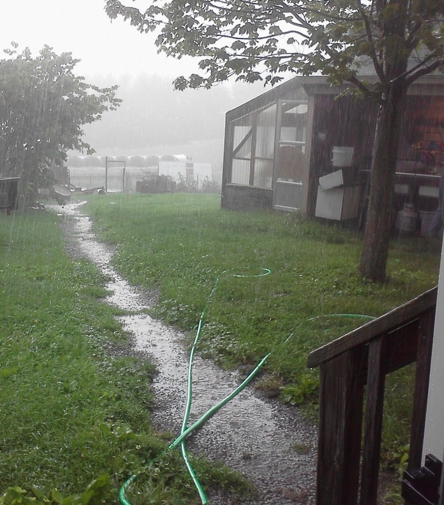 Homestead Hill Farm: A Toad Strangler