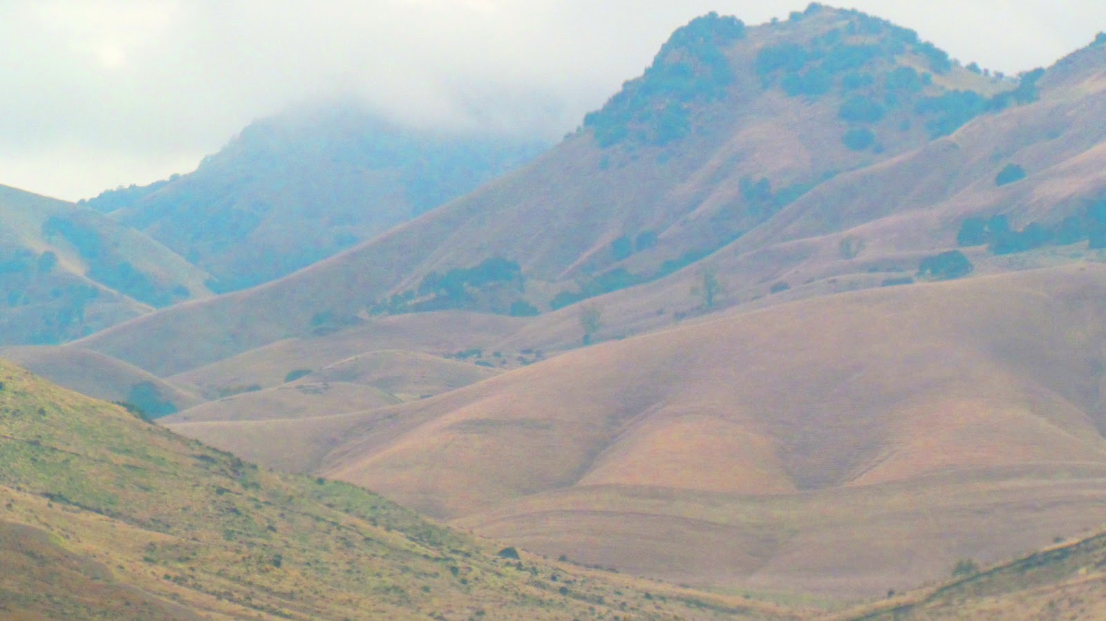 Adventures of a Vagabond Volunteer: Meet the Sutter Buttes