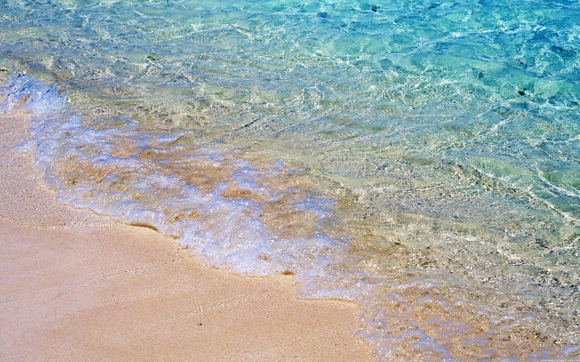 Amazing Beach Widescreen Hd