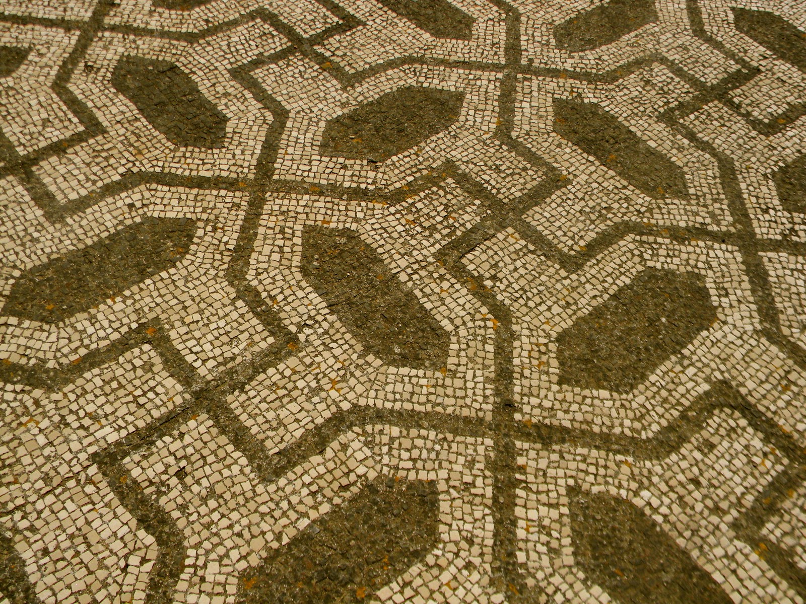 Photography Tutorial Notebook: Repetition Photography