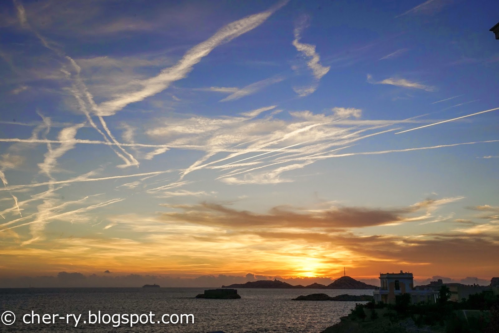 Life of a Lil Notti Monkey: Le Mole by Gerald Passedat, Marseille