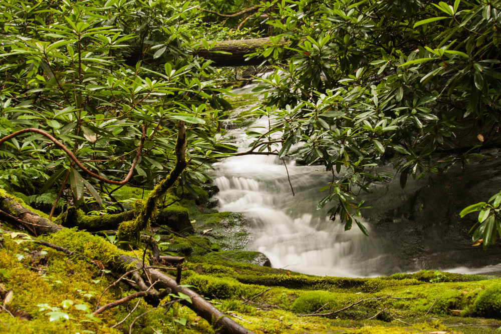 More pictures from Roaring Branch in Appalachia Virginia | Exploring ...