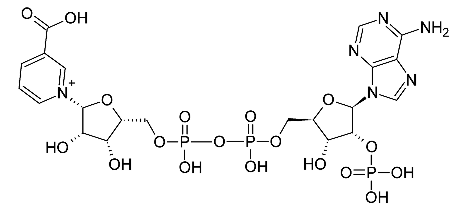Knowledge Class: Nucleic Acid - an overview