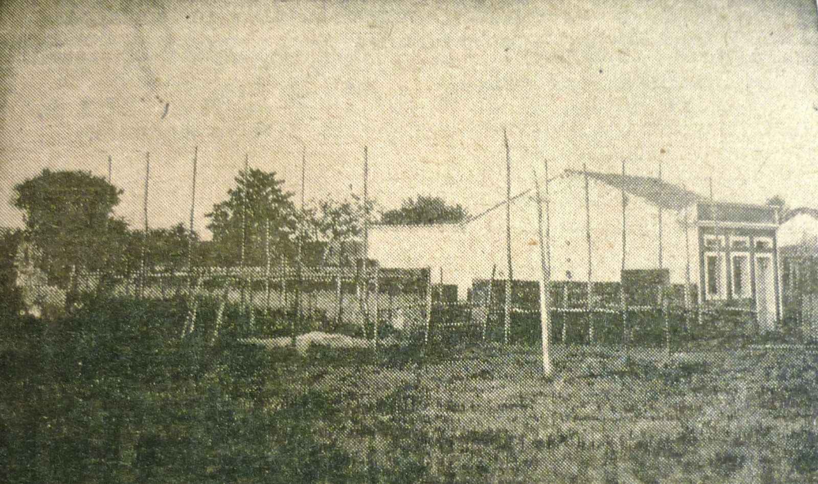 BLOGDOROCHA: CIDADE DE COARI E FOTOGRAFIAS ANTIGAS