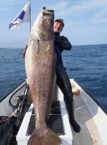 Big Fishes of the World: KOB (Argyrosomus hololepidotus)