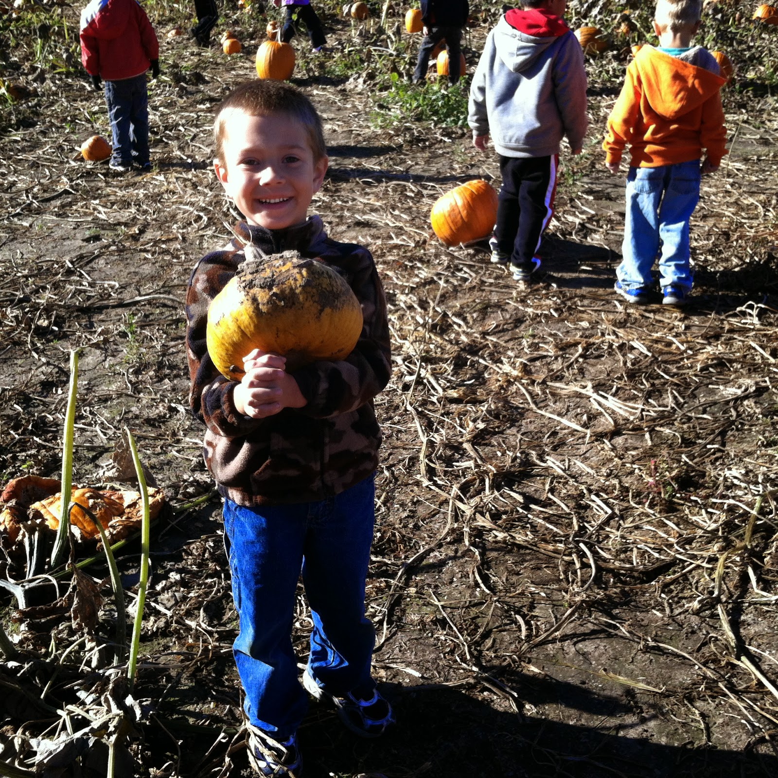 Ms. Woods' Kindergarten Class: Pumpkin patch field trip!