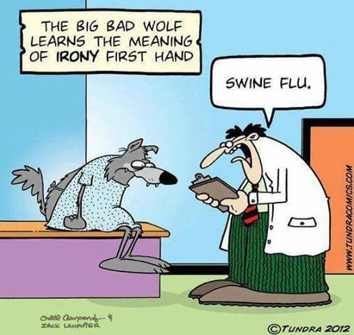 Funny Flu Cartoon