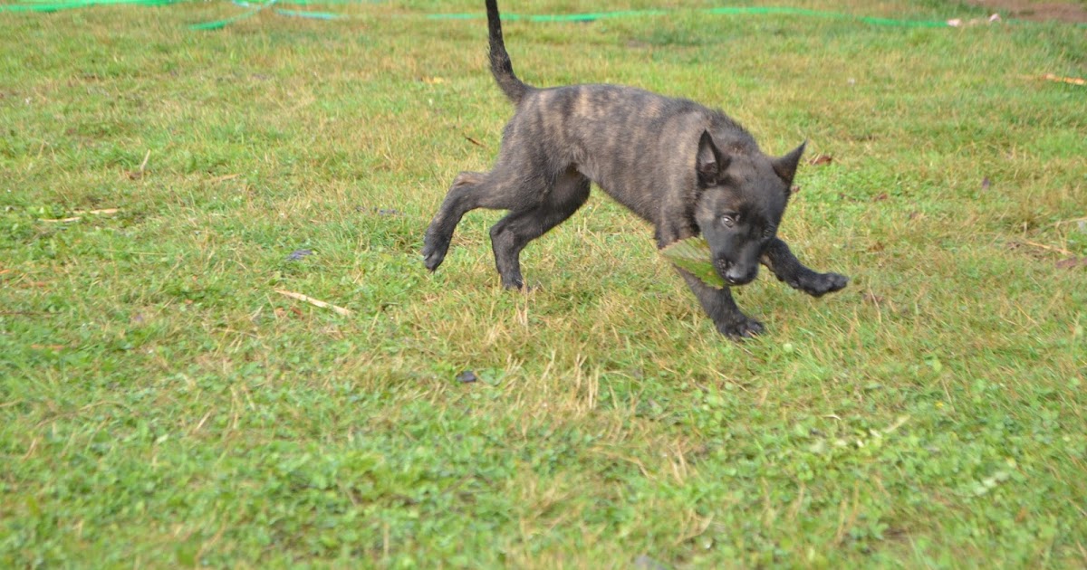 Pleasant Dreams Farm: T minus 7 days.