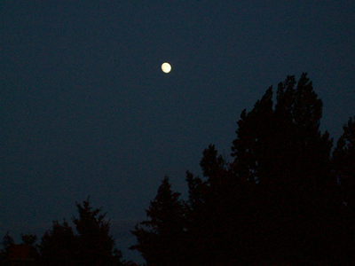 Mystic Meandering: Open the Moon Window...