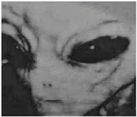 Para Pensar....: A.R.B (Alien Races Book)