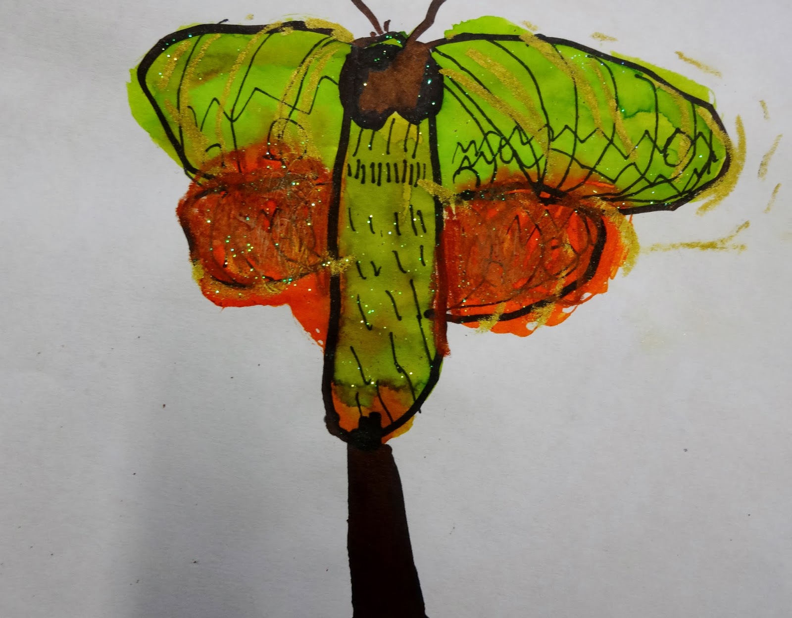 Mairtown Kindergarten: Close Encounters with a Puriri Moth