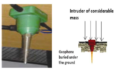 Indian Biodiversity Talks: Texting facility to warn about elephant ...