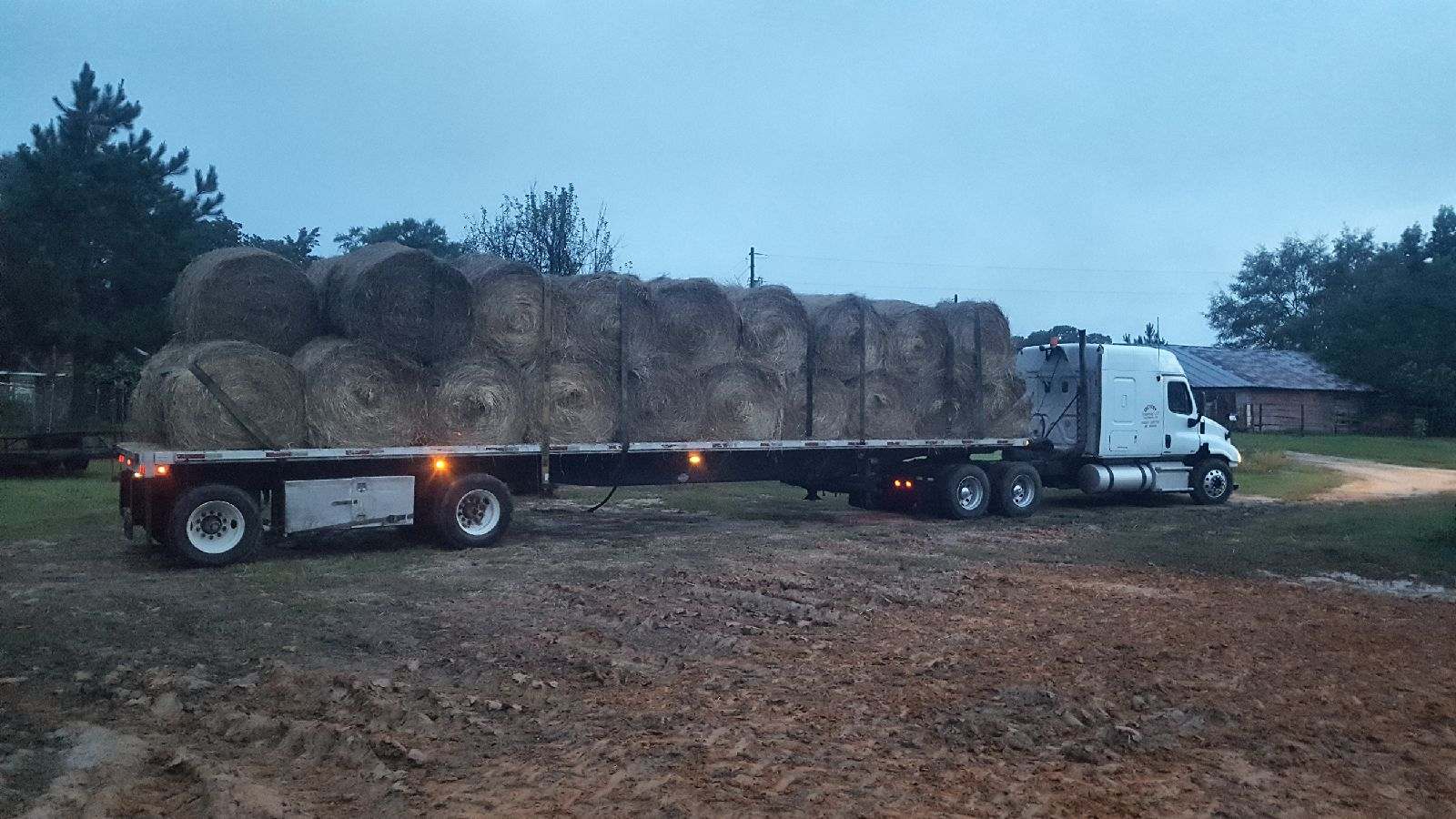 White House Farms: Order Now Hay Going Fast