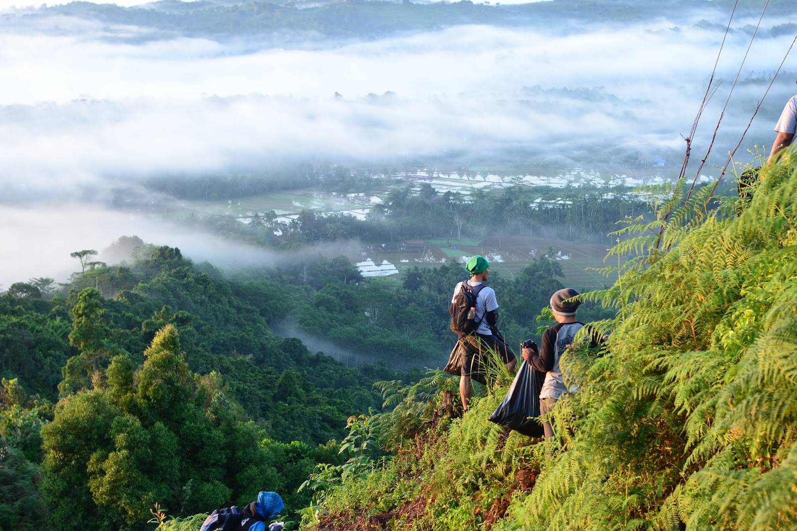 Memungut harapan Di puncak Bukit Biru