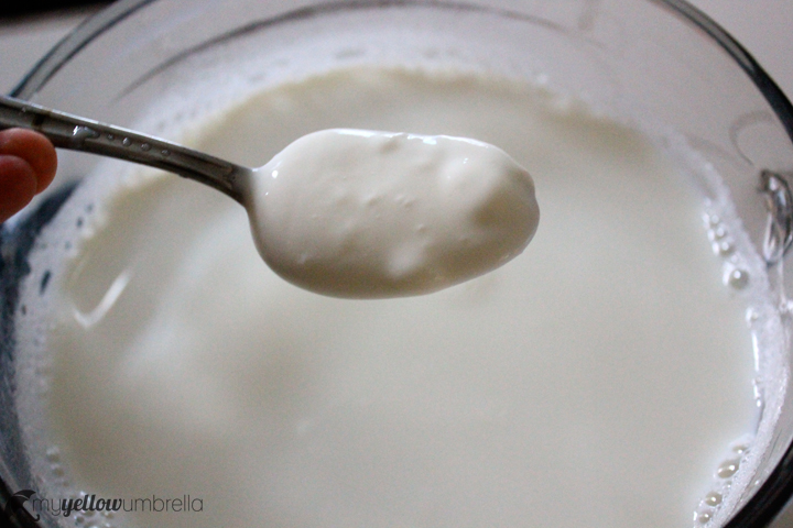 How to: Make Greek Yogurt | Alina Sewing + Design Co.