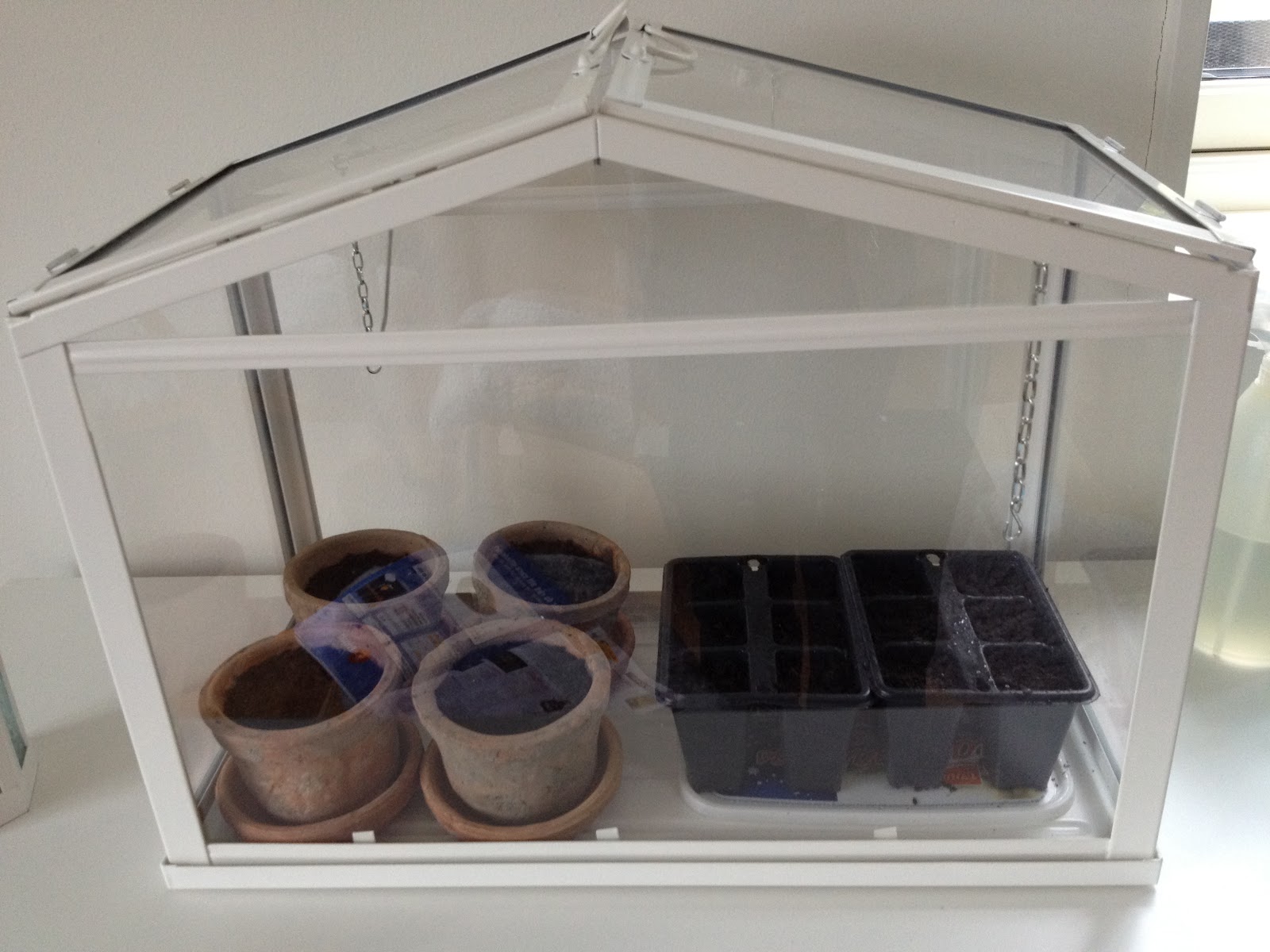 BroHagen: Plantering av kryddor