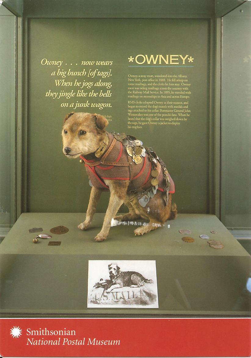 MY POSTCARD-PAGE: USA ~National Postal Museum - Owney - Washington~