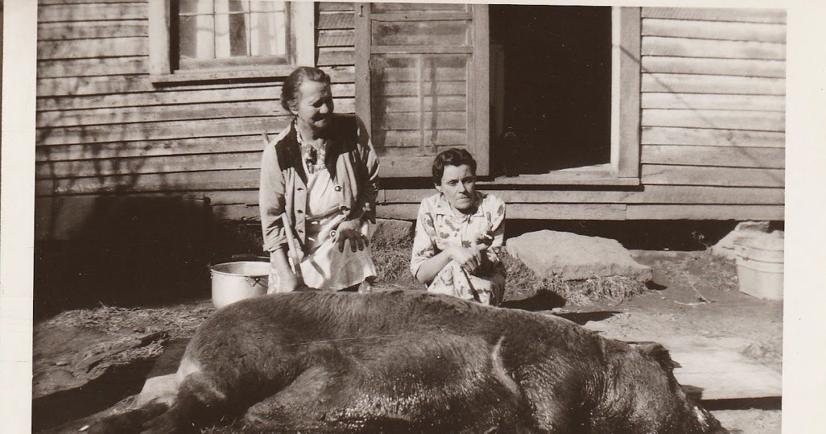 My Appalachian Life: HOG KILLING TIME IN APPALACHIA