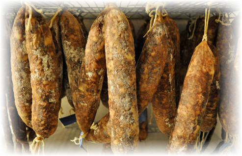 S T R A V A G A N Z A: FERMENTED MEAT PRODUCTS OF THE WORLD