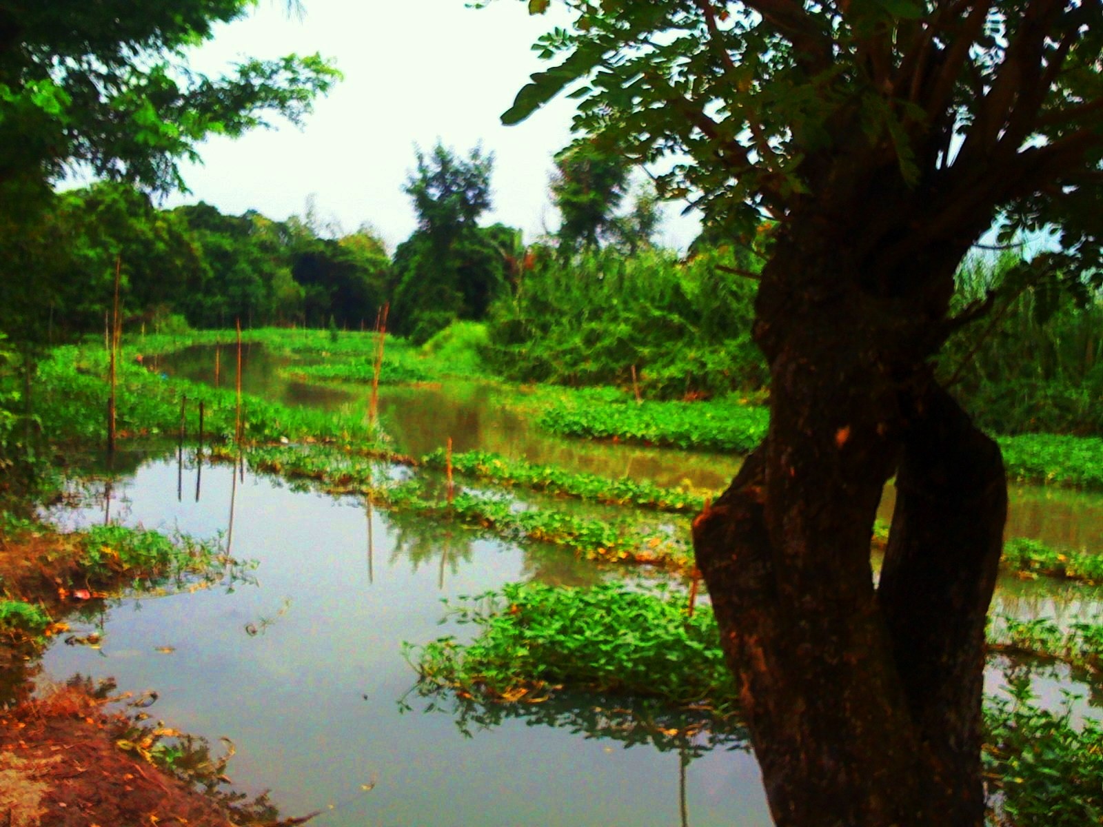 sapa anyong tubig - philippin news collections