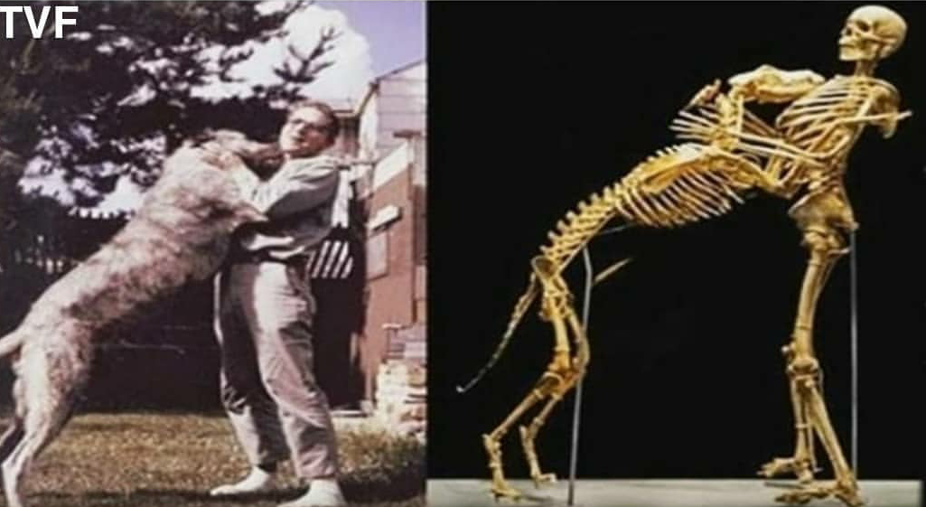 General knowledge facts about the world - Study for knowledge