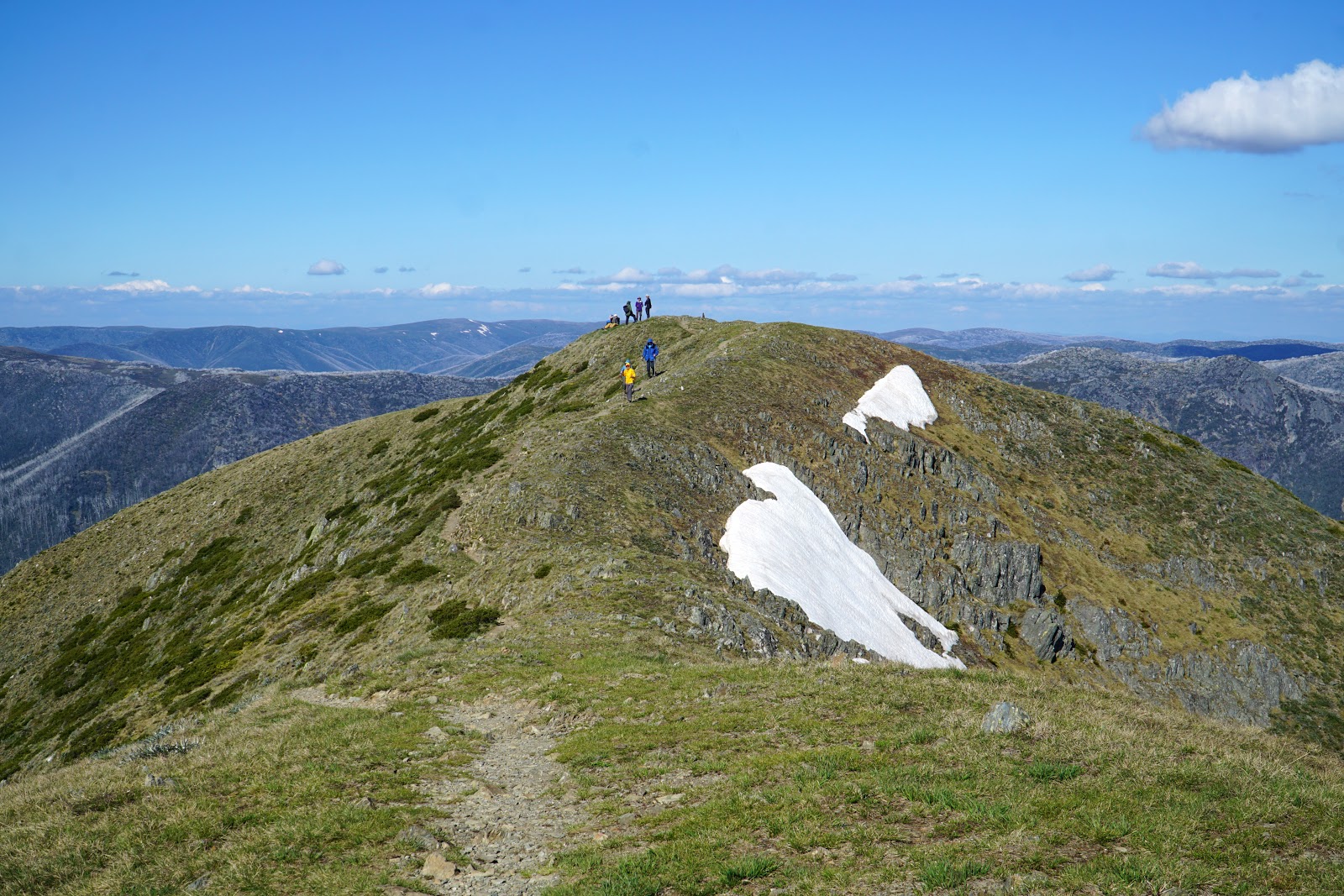 Mt Feathertop via the Razorback (Alpine NP) ~ The Long Way's Better