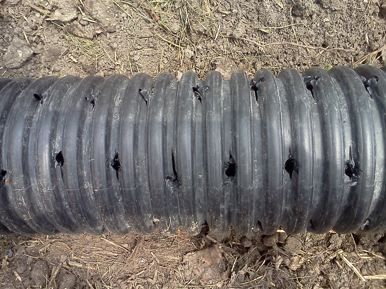 Making a Life: My Latest Carpentry/Gardening Project