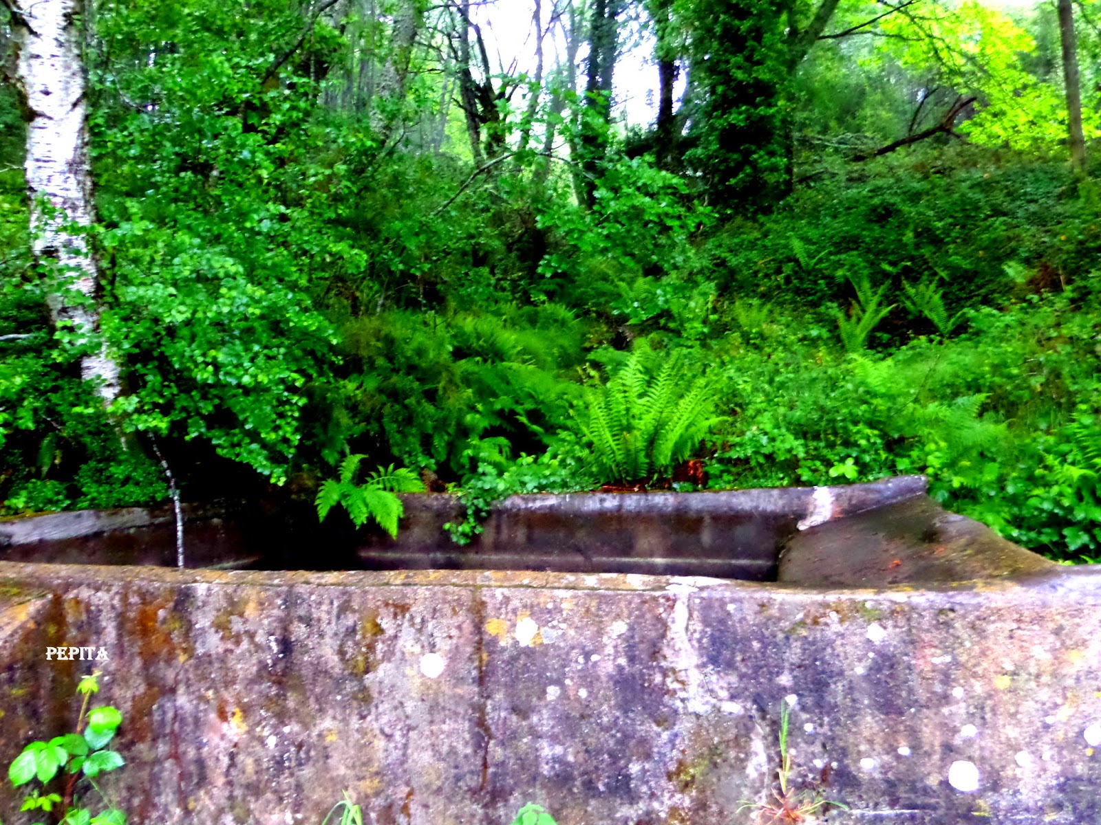 Fotografiando Cumbres: Camino de Santiago "2014"