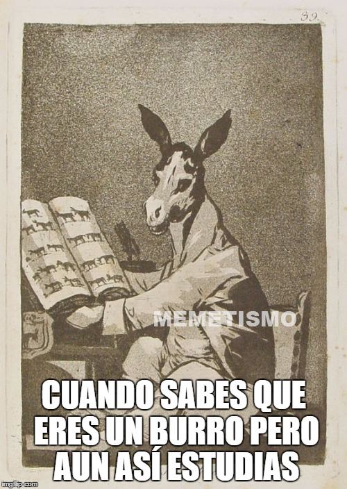 PlasmArte Ideas: MOUSSE MEDIA | Memes que nos relajaron del suplicio de ...