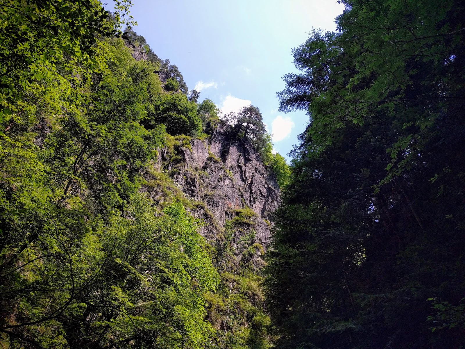 Traseu în munții Făgăraș: Valea lui Stan, Poiana Călugărița, Barajul ...