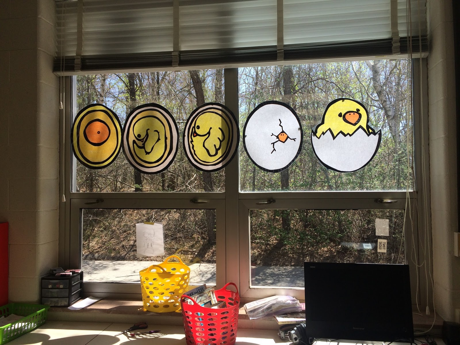 Miss Stetson's Classroom: Hatching Chickens in the Classroom