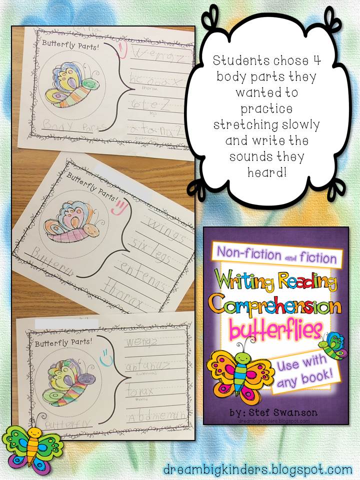 Dream Big Kinders: Butterfly Life Cycle - Nonfiction Reading Comprehension