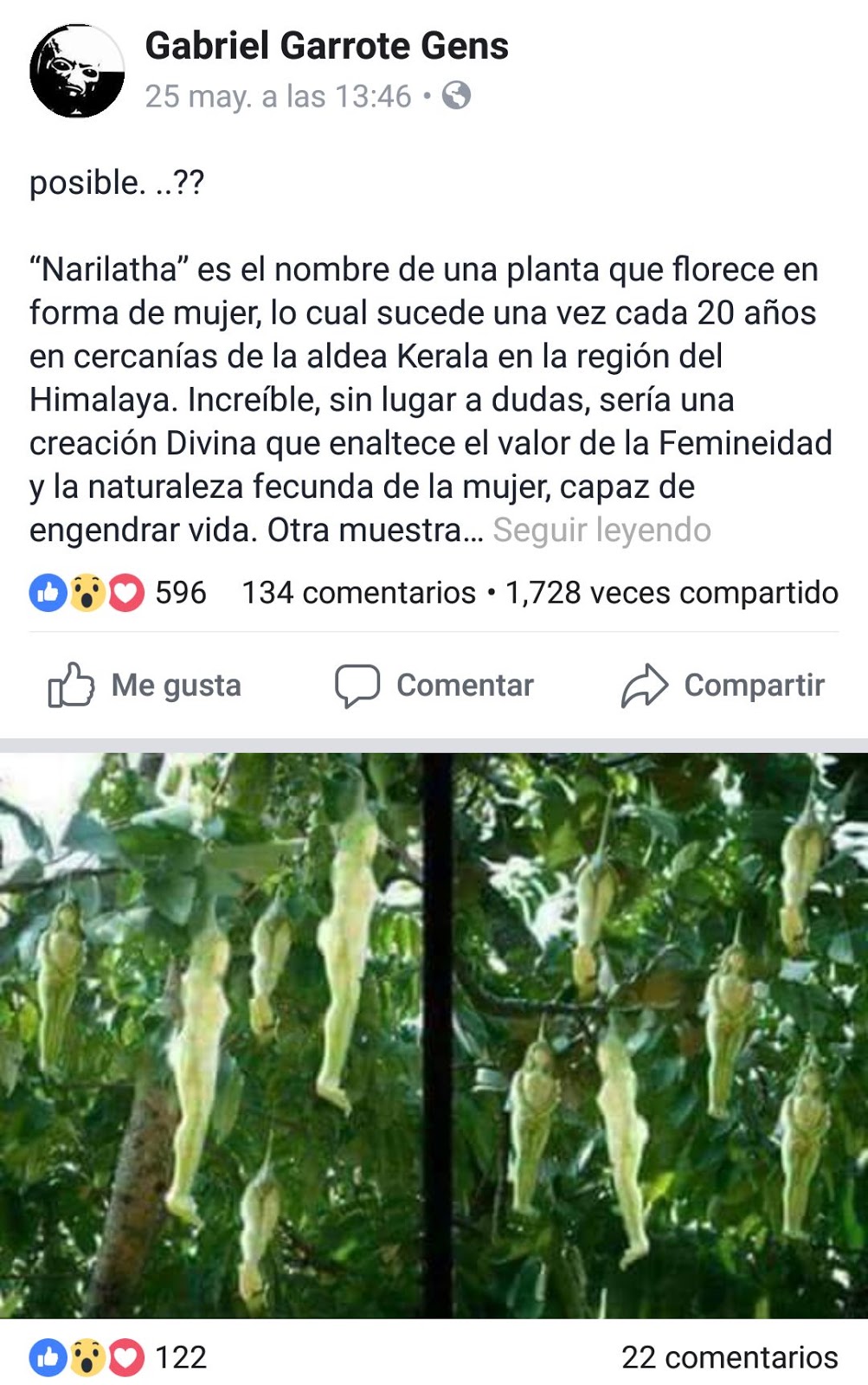 Narilatha del Himalaya ¿mito o cosa canalla?