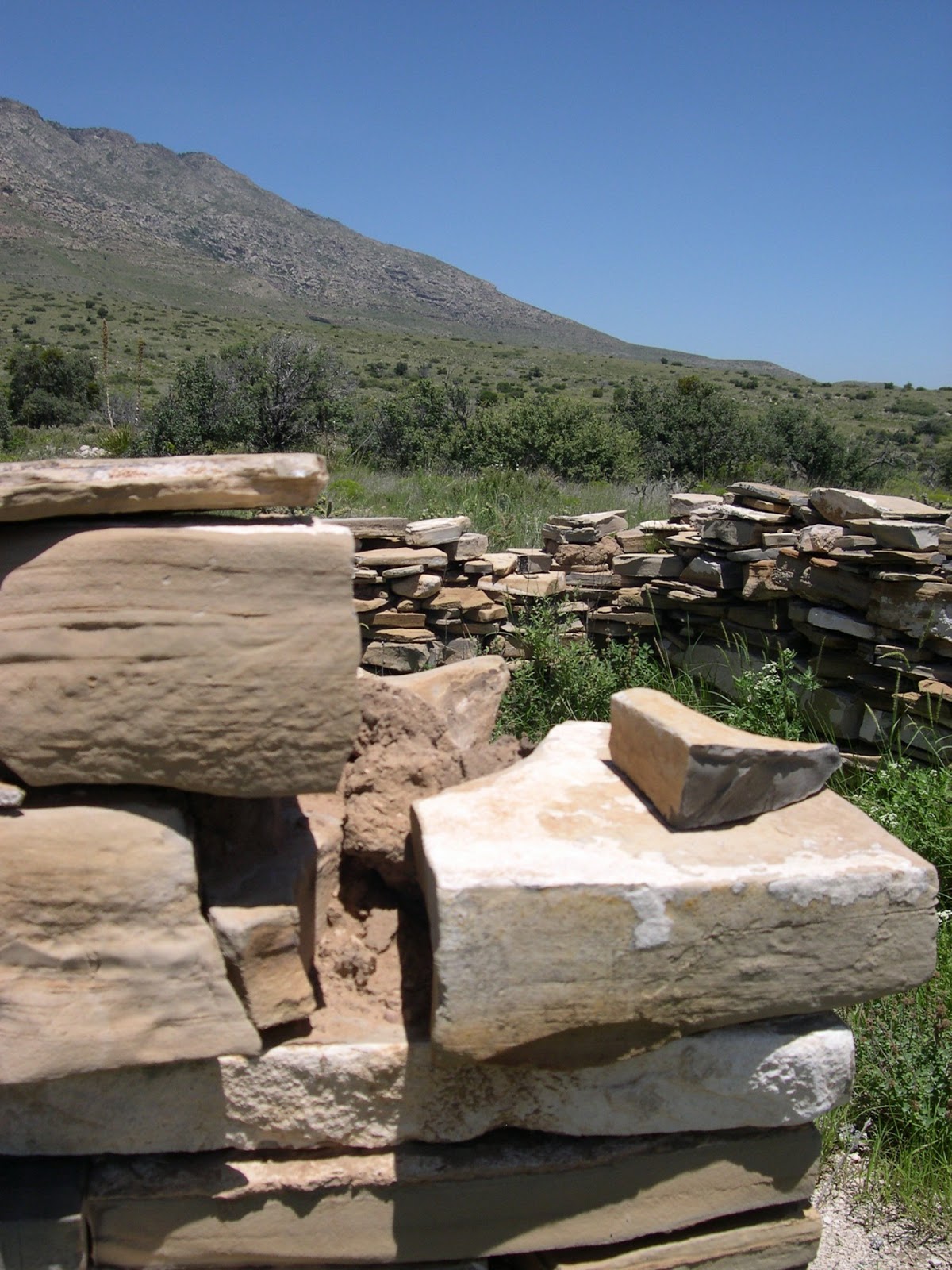 Texas Mountain Trail Daily Photo: Texas Master Naturalists leading Peak ...