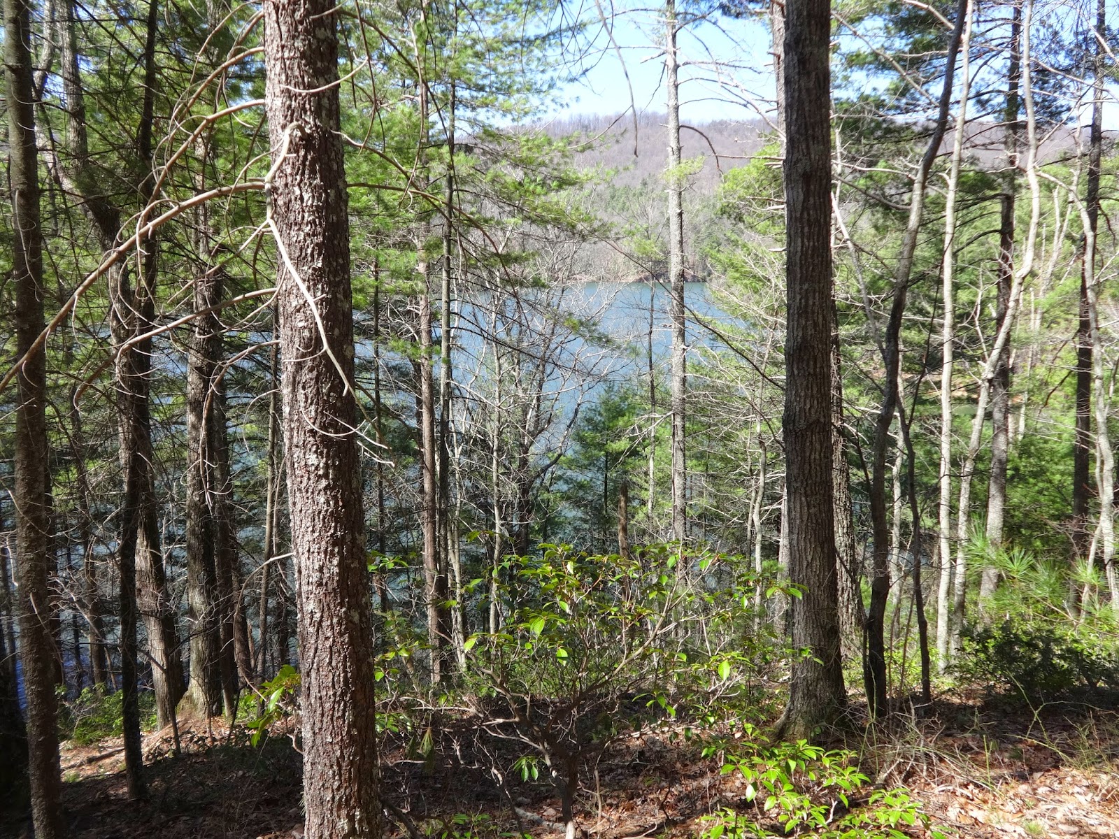 Appalachian Trail Section hiking: Punchbowl Shelter to Highway 60