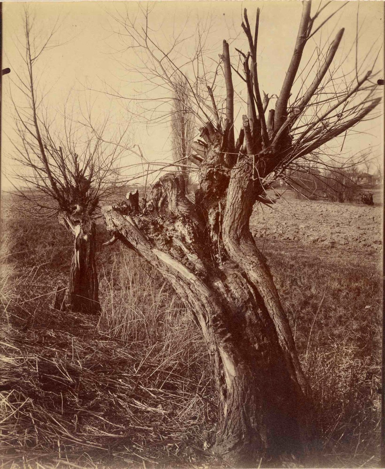Spencer Alley: Albumen Prints