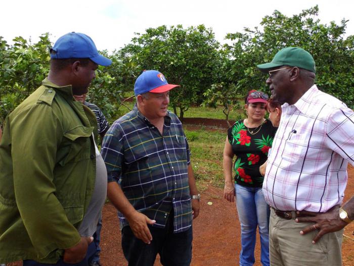 ASOCIACION ECOLOGISTA RIO MOCORETA: CONSOLIDAR LA PRODUCCIÓN DE ...