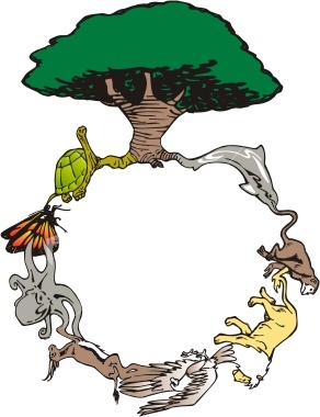 Breathing Lessons: Circle of Life