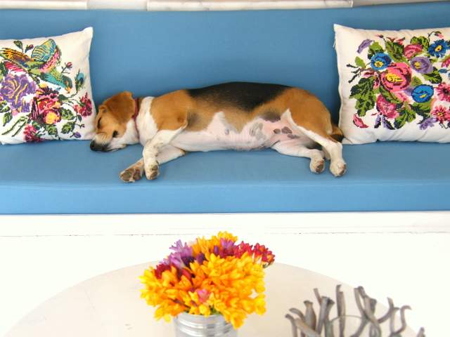 Turquoise Diaries: Weekend Wishes