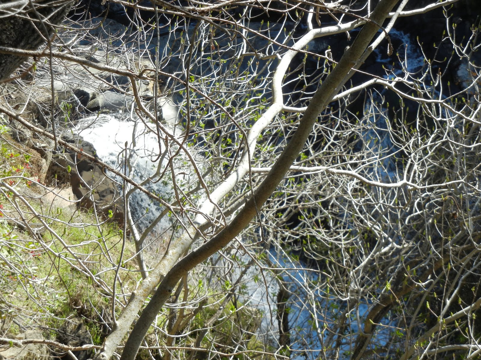 Peachy Hiker: Coloma's Dutch Creek Falls and Johntown Falls