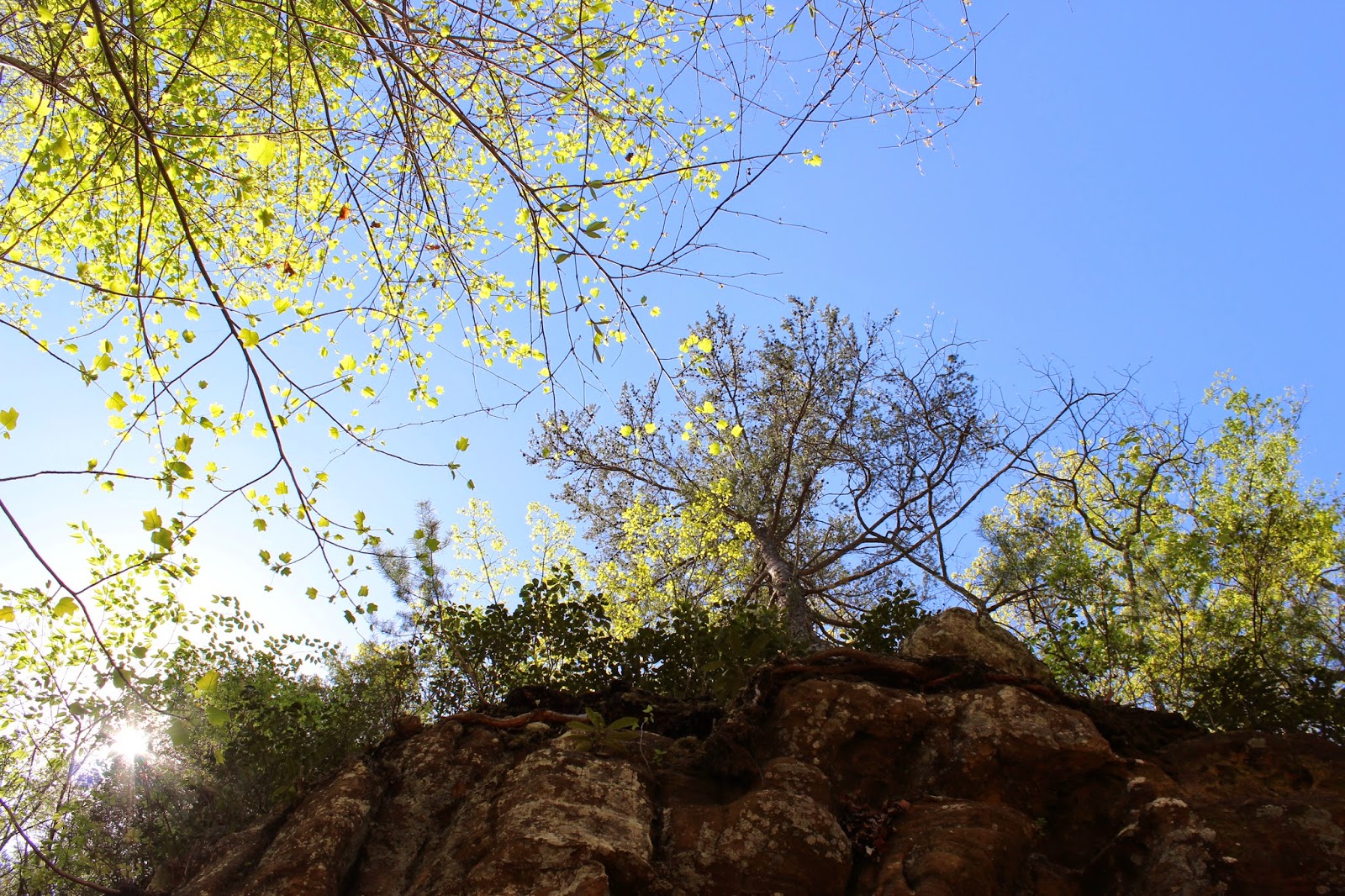 Cumberland Gal: Jamestown Camping Trip--Day 2--Pickett State Forest and ...