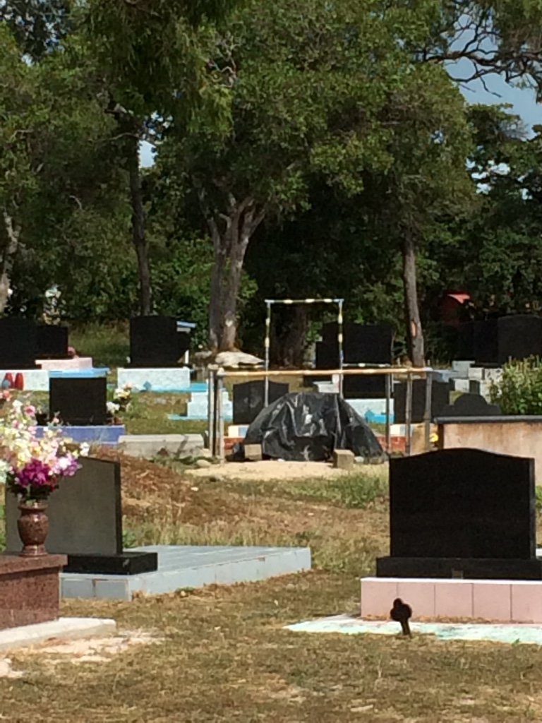 Where in the World are Robert and Cherryl?: Visit to Thursday and Horn ...