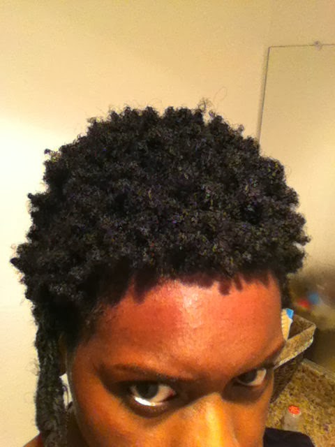 My Loc Journey Free Form Locs Journey 11th Day my-loc-journey-free-form-locs-journey-11th-day