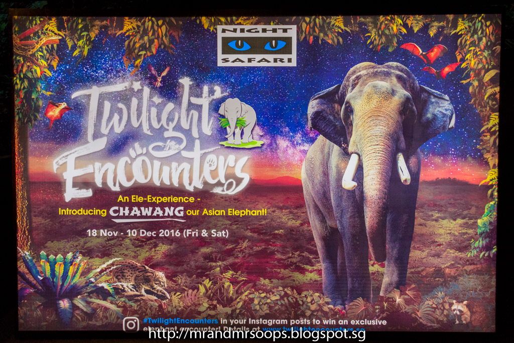 Yay or Nay to Singapore's Night Safari?