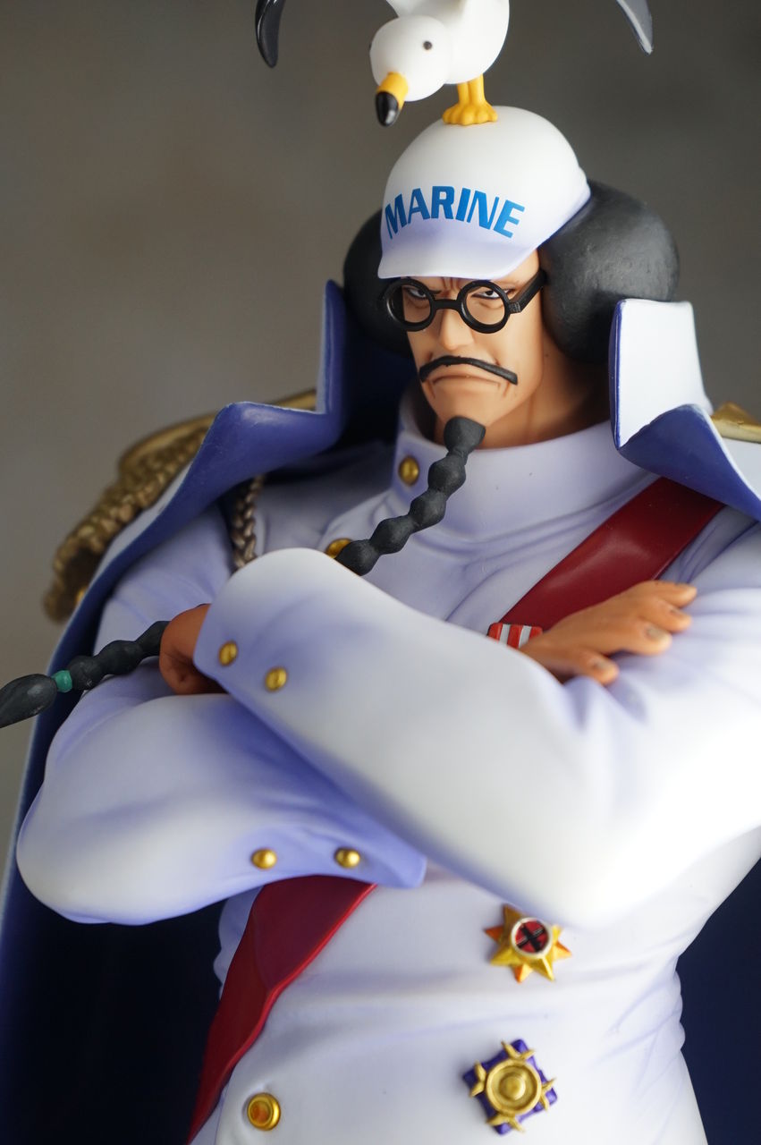 ZOOM! Sengoku Limited Edition