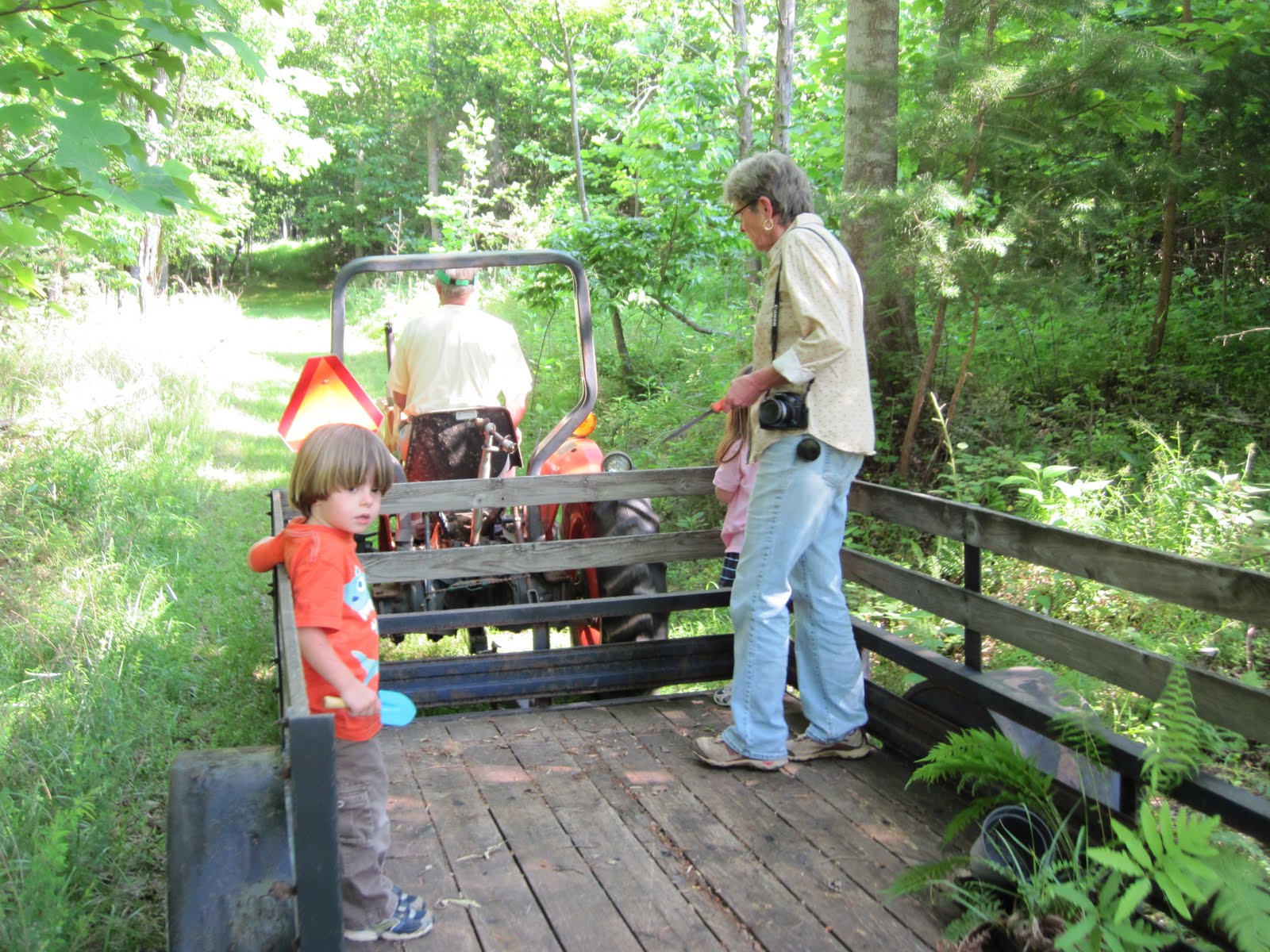 Snuggle Acres: Going on a Fern Hunt