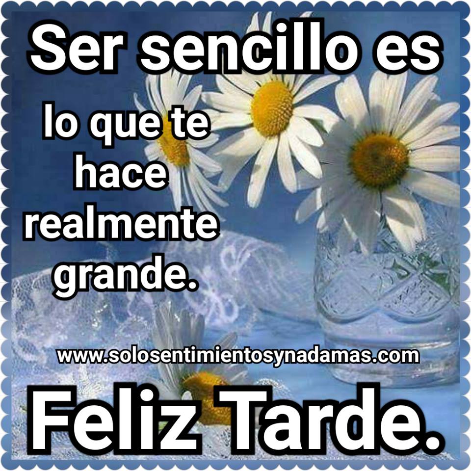 Ser sencillo es lo que te hace realmente grande. - Solo sentimientos y ...