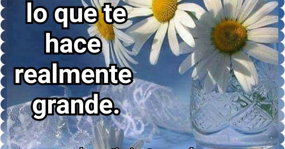 Ser sencillo es lo que te hace realmente grande. - Solo sentimientos y ...