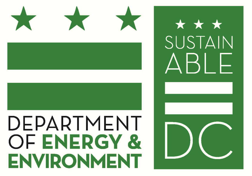 Just CAUSES: DOEE launches Green Fellows Program
