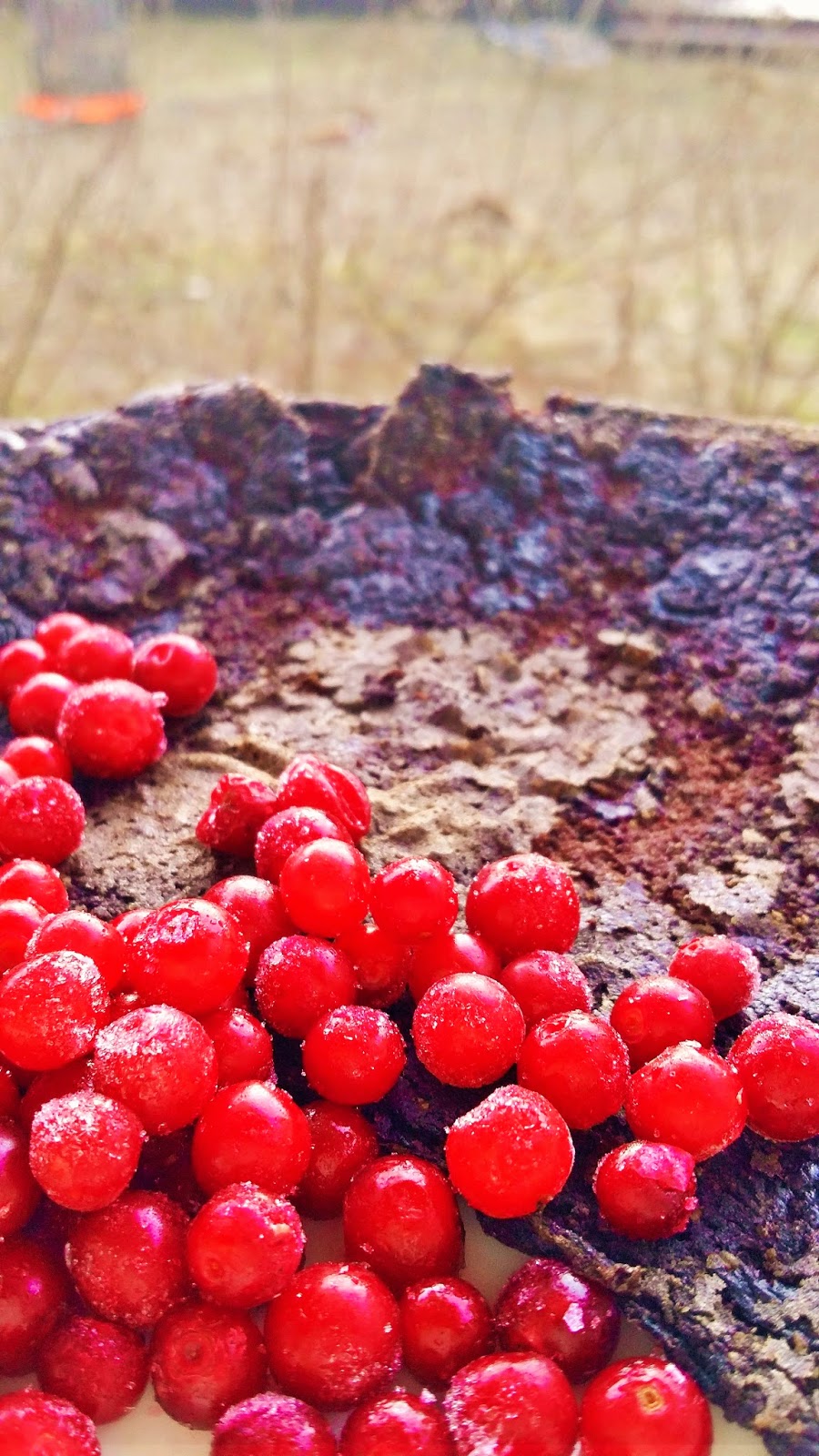 Everyday life: Veriletut